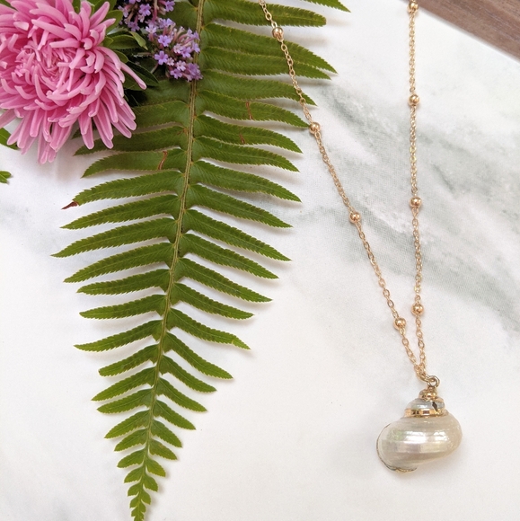 Jewelry | Pearl Gold Shell Necklace Nwt | Poshmark